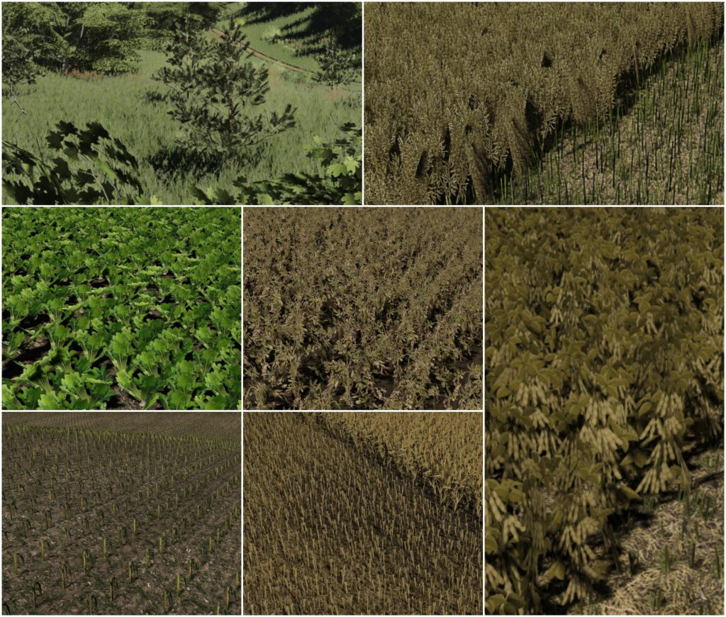 Textures Pack v1.0 FS19 | Landwirtschafts Simulator 25 Mods / LS25 Mods