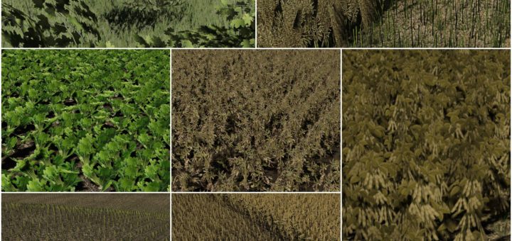 GRASS TEXTUR v1.0 FS19 | Landwirtschafts Simulator 19 Mods | LS19 Mods
