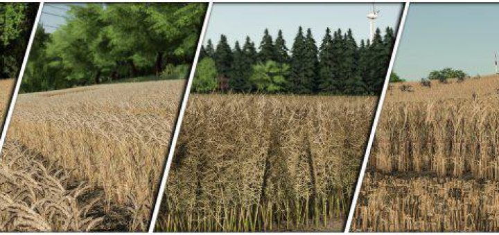 Sky v1.0 FS19 | Landwirtschafts Simulator 19 Mods | LS19 Mods