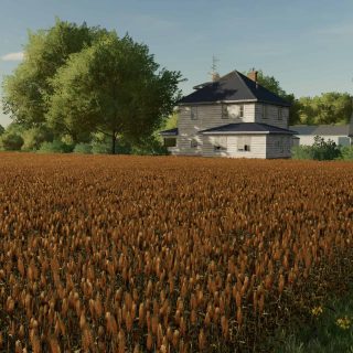 Bessere Sorghum und Grafik in FS22 | Landwirtschafts Simulator 25 Mods ...