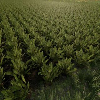 Grow Now v1.0.5.1 Mod | Landwirtschafts Simulator 25 Mods / LS25 Mods