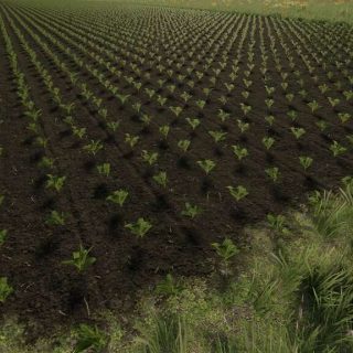 Grow Now v1.0.5.1 Mod | Landwirtschafts Simulator 25 Mods / LS25 Mods