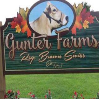 Gunter Farm map4x v1.0.0.0 Mod | Landwirtschafts Simulator 25 Mods ...