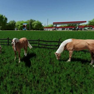 Enhanced Animal System v2.2.0.1 Mod | Landwirtschafts Simulator 25 Mods ...