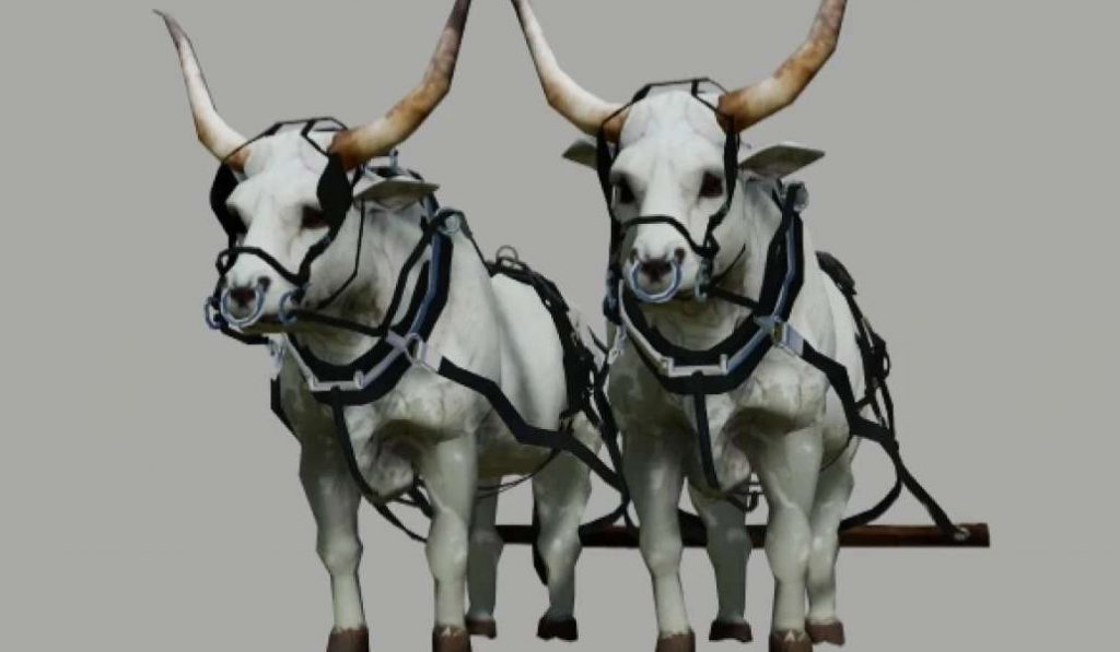 Grey Ox v1.0.0.0 Mod | Landwirtschafts Simulator 25 Mods / LS25 Mods