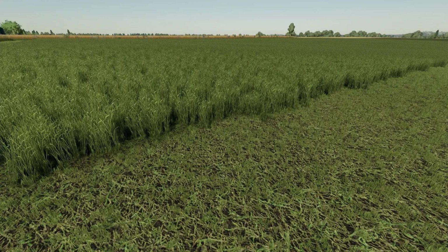 Gras Textur v1.0.0.0 Mod | Landwirtschafts Simulator 19 Mods | LS19 Mods