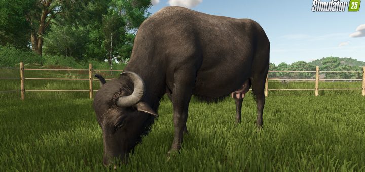 Landwirtschafts Simulator 22 mods, Farming Simulator 25 Mods