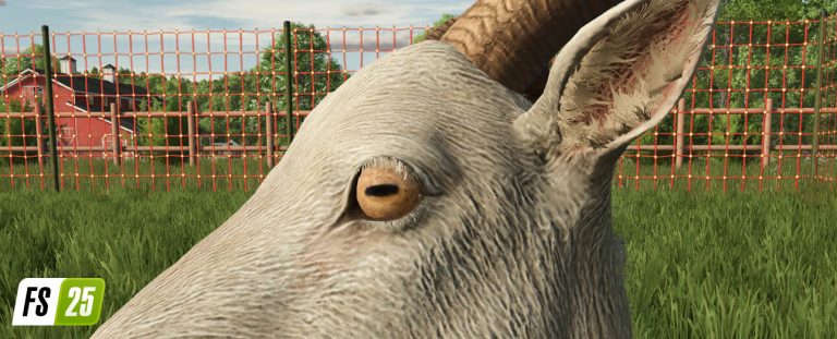 Ziegenmilch, Käse und weitere Produkte im Landwirtschafts-Simulator 25